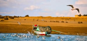 Lake Qarun: Where Nature Meets Tranquility